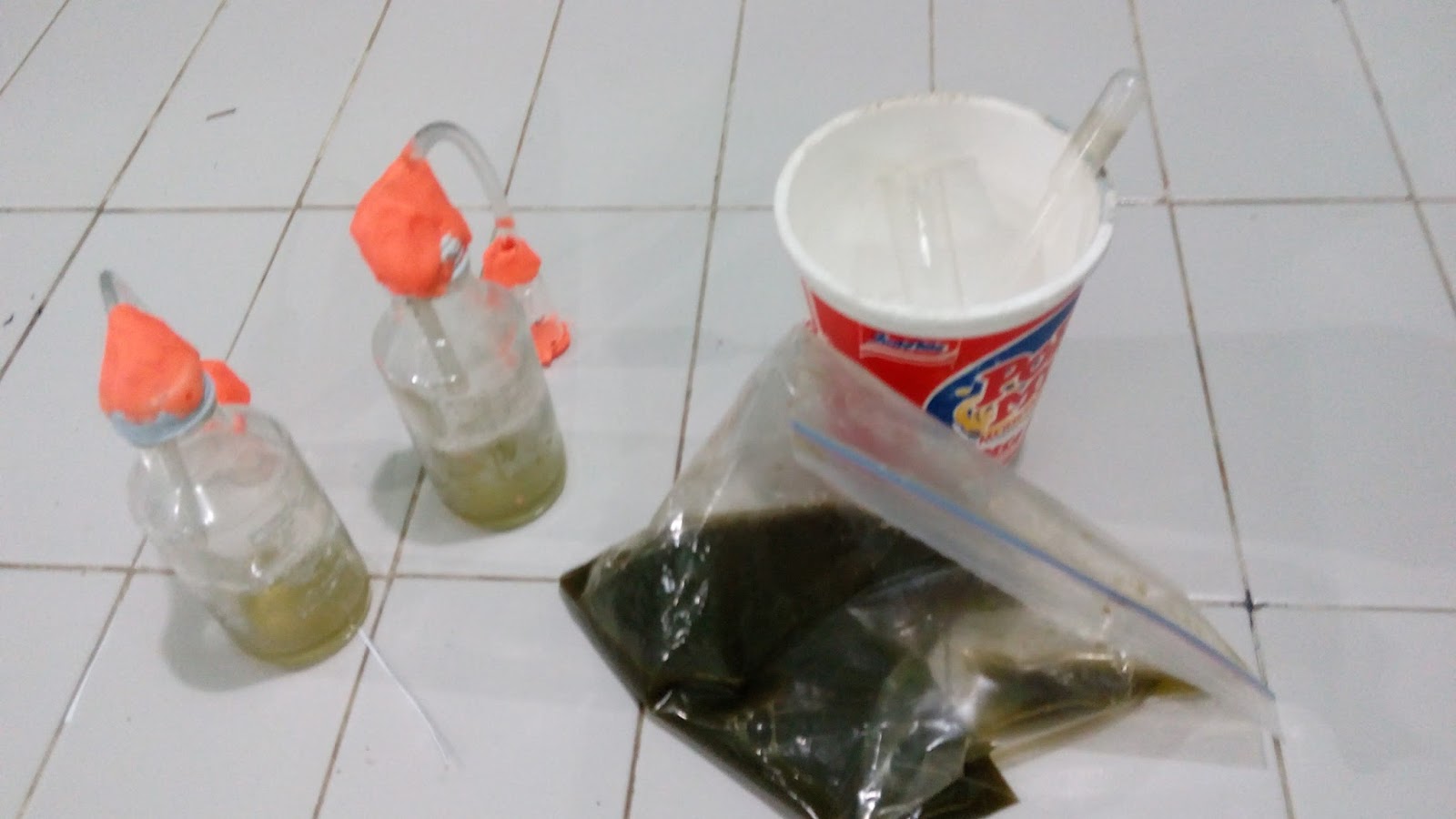 PRAKTIKUM FAKTOR LAJU REAKSI (ENZIM SEBAGAI BIOKATALIS) DALAM REAKSI ...