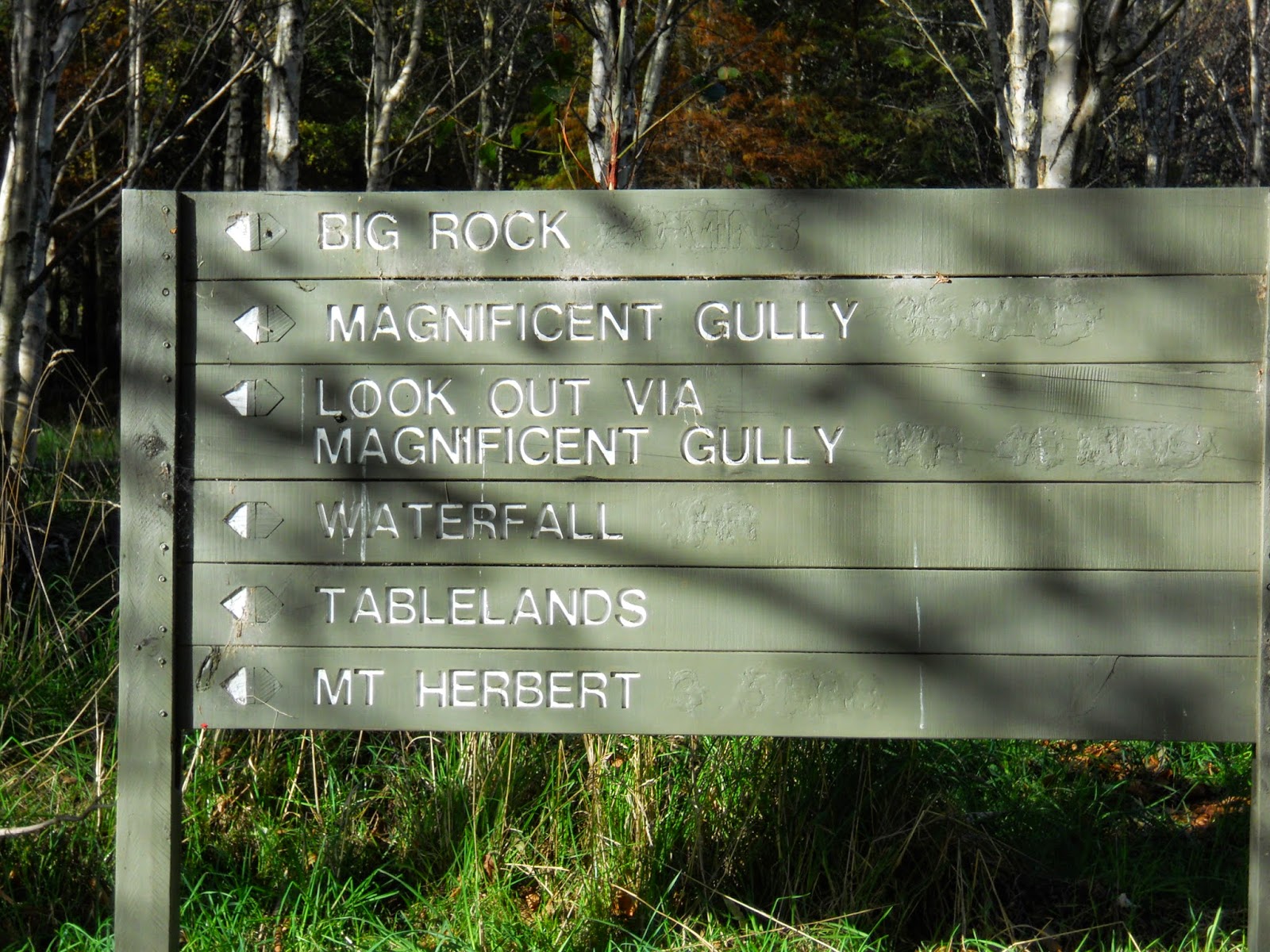 Tramping in the New Zealand backcountry: NZ Bush Adventures: Track ...