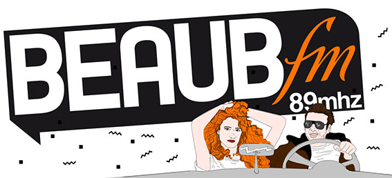 molaDX: FF41(PI) - 89.0 MHz - BEAUB'FM - Limoges/Beaubreuil (F) - QSL