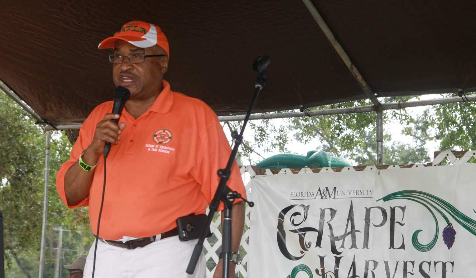FAMU prepares for 19th Grape Harvest Festival and family fun day