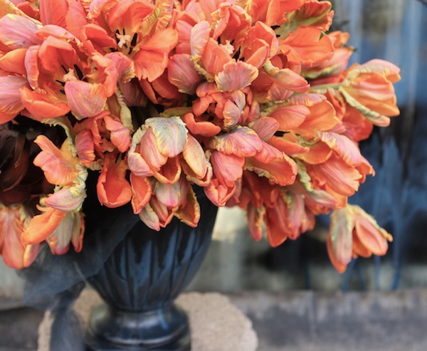 BORNAY: Flowers for: Mina