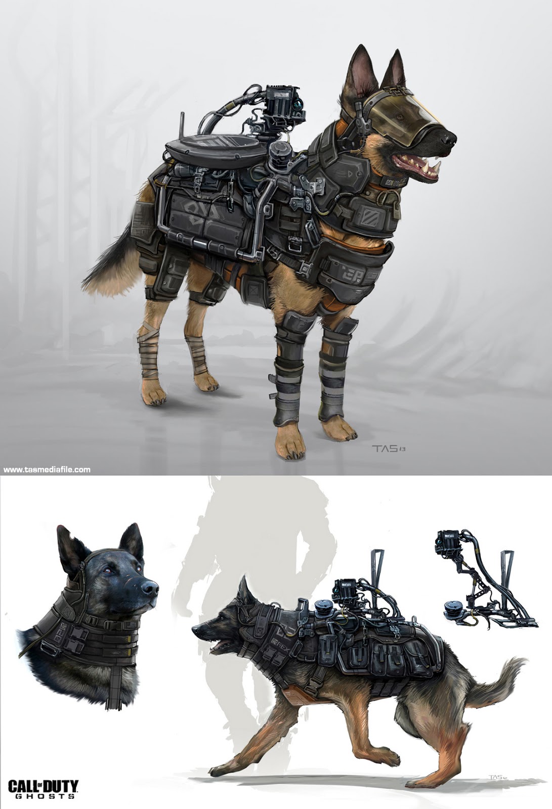 Call Of Duty Ghosts Wolf