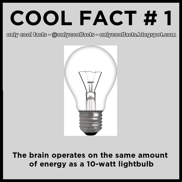 Only Cool Facts: Cool Fact 1
