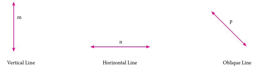 Terms Related to Lines and Angles, Types of Lines and Angles