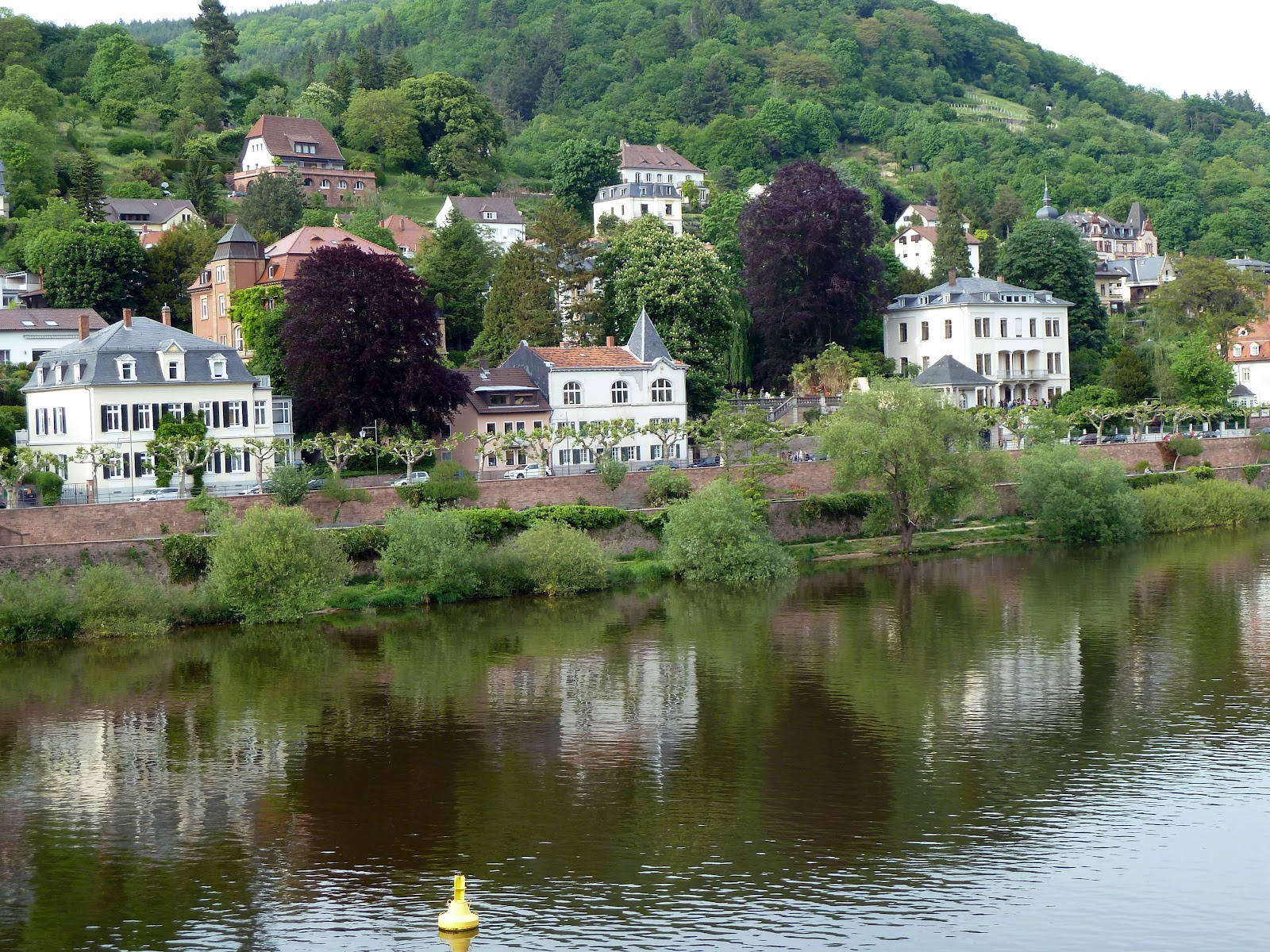 Hal & Diane Rosen Travels: Spesbach & Heidelberg, Germany (May 13-14, 2012)