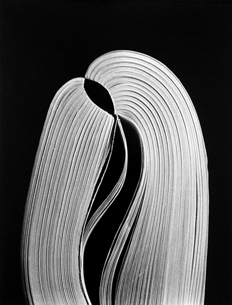 Los Grandes Fotografos: Kenneth Josephson (1932)