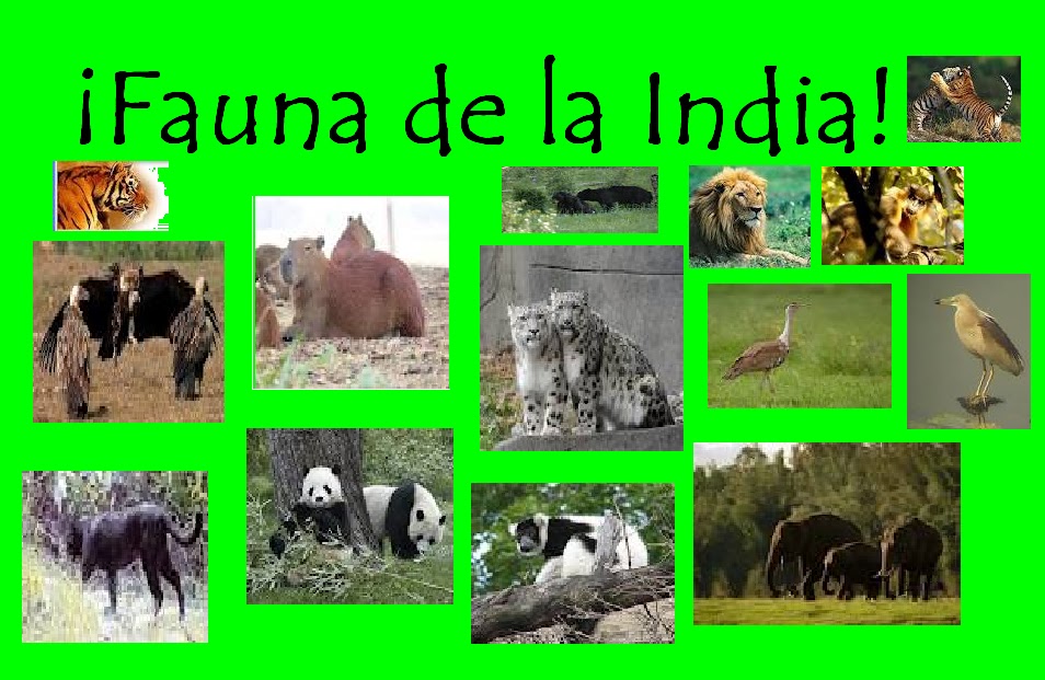 Todo Sobre La India: Fauna de la India.
