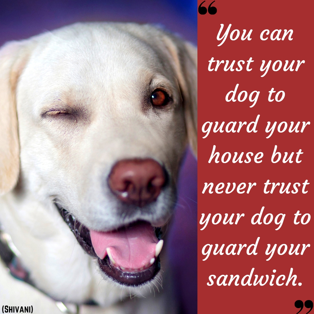 Best 100 Inspirational Dog Quotes About Love, Best Friend And Loyalty ...