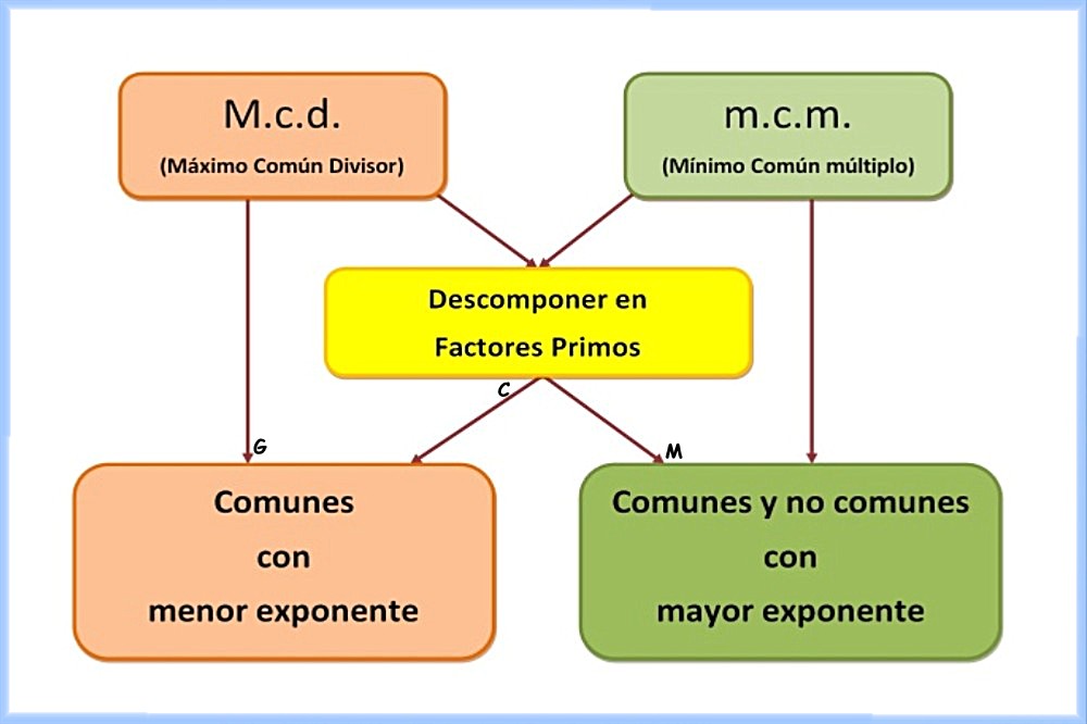 Esquemas Galledor Máximo Común Divisor Mínimo Común Múltiplo