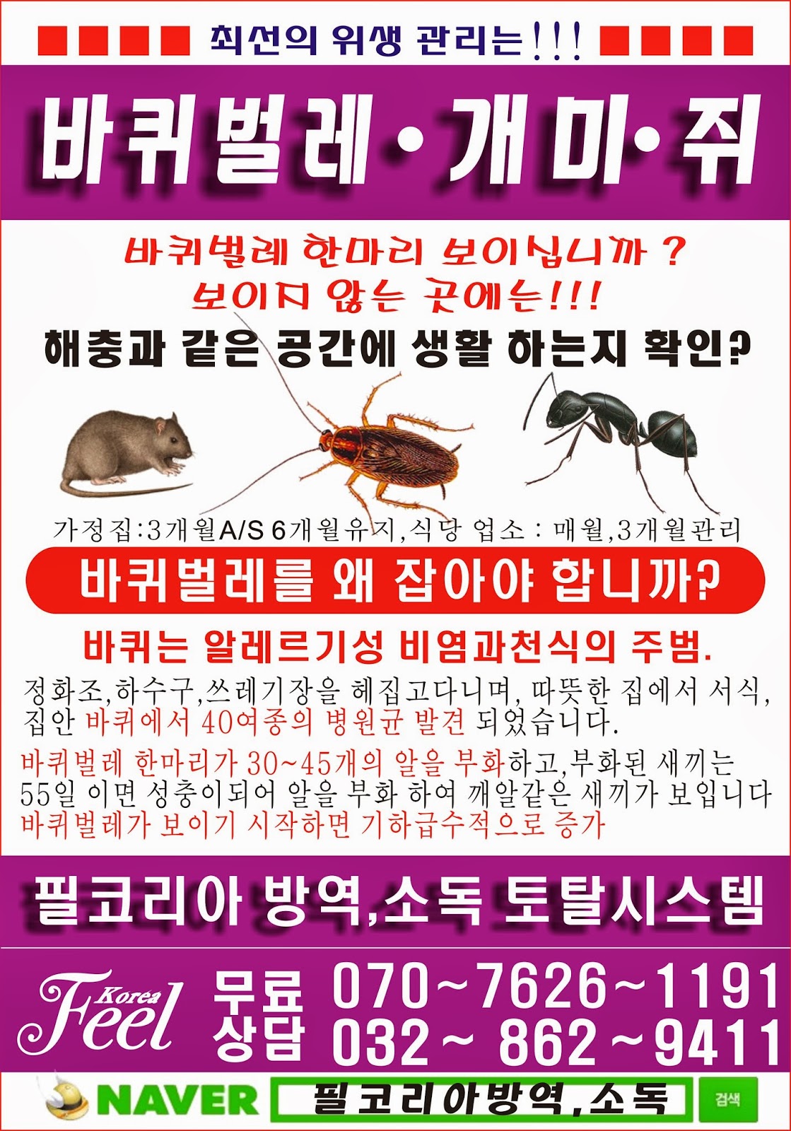 필코리아방역소독 전문업체 바퀴벌레는 왜 없에야 하나요