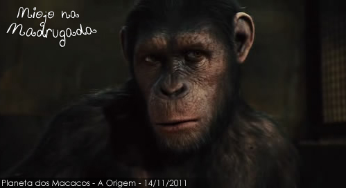 Planeta dos Macacos A Origem, Garota no PC | Miojo na Madrugada