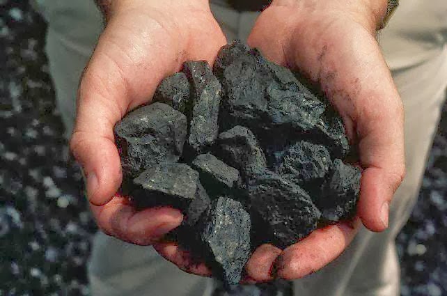 Yoggi da Química: Origem e Composição do carvão mineral