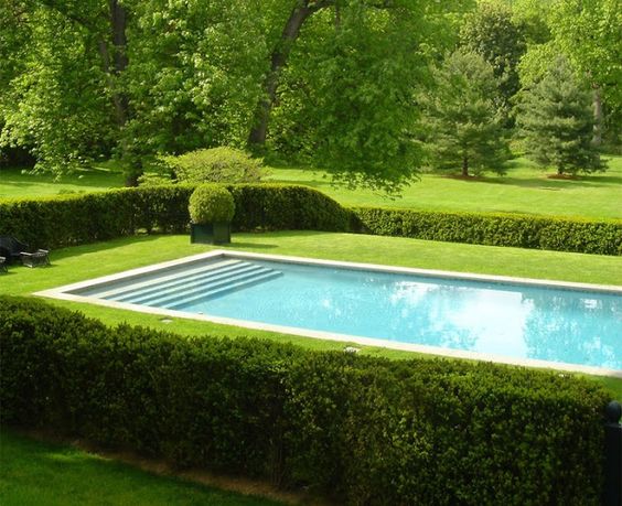 Swimmingly: Nest by Tamara blog's Favorite "Hamptons Style" Swimming Pools