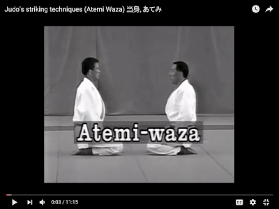 Isshin - Concentration the Art: Judo's striking techniques (Atemi Waza ...