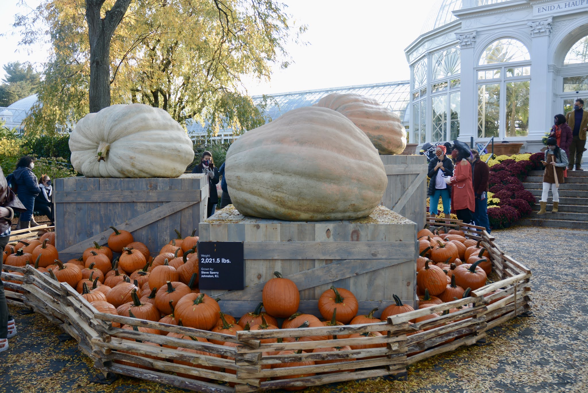 Random-osity: Great Pumpkin Weekend
