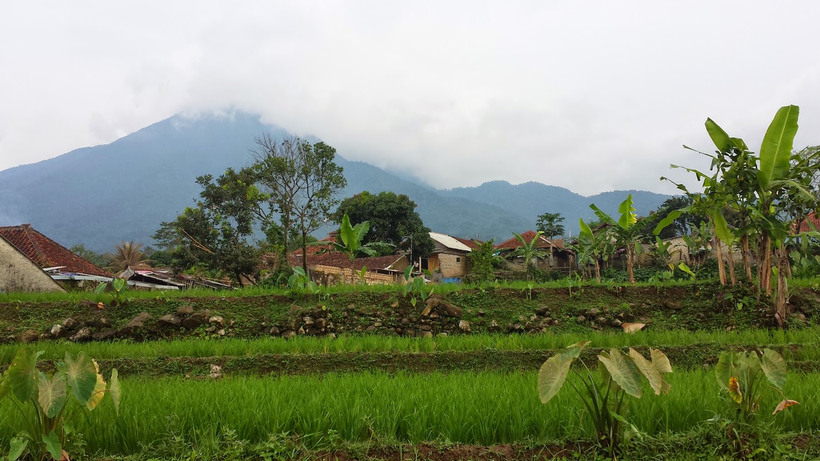 Curug Muara Herang dan Curug Ciparai - Untold Story