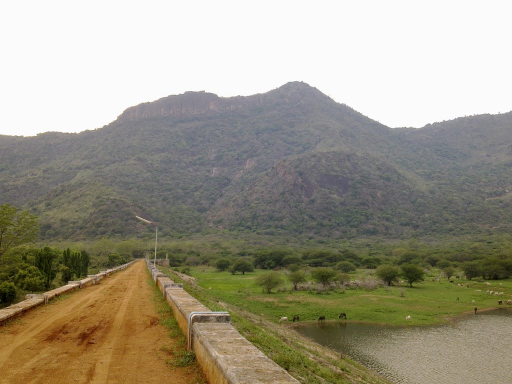 Tamilnadu Tourism: Pilavakkal Dam, Vathirairuppu (Watrap), Virudhunagar