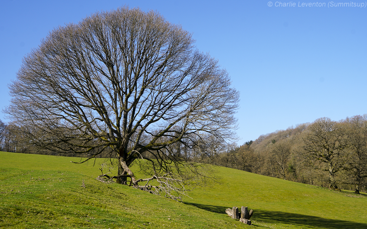 Summitsup: Wart Hill and Onny Trail