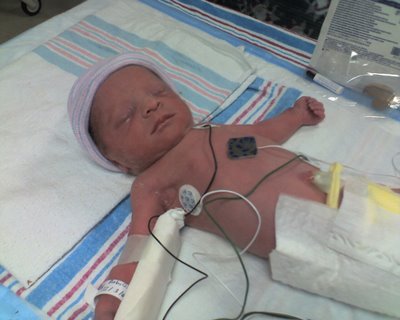 And Then There Were Three: 31 Weeks