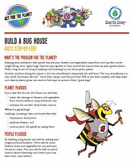 Discovery Child Care Blog: Build A Bug House - An Eco-Project Idea for Kids
