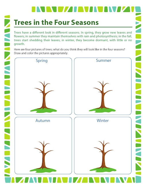 Mrs \ Souzan Gubr Let's learn science : Draw and color trees in the ...