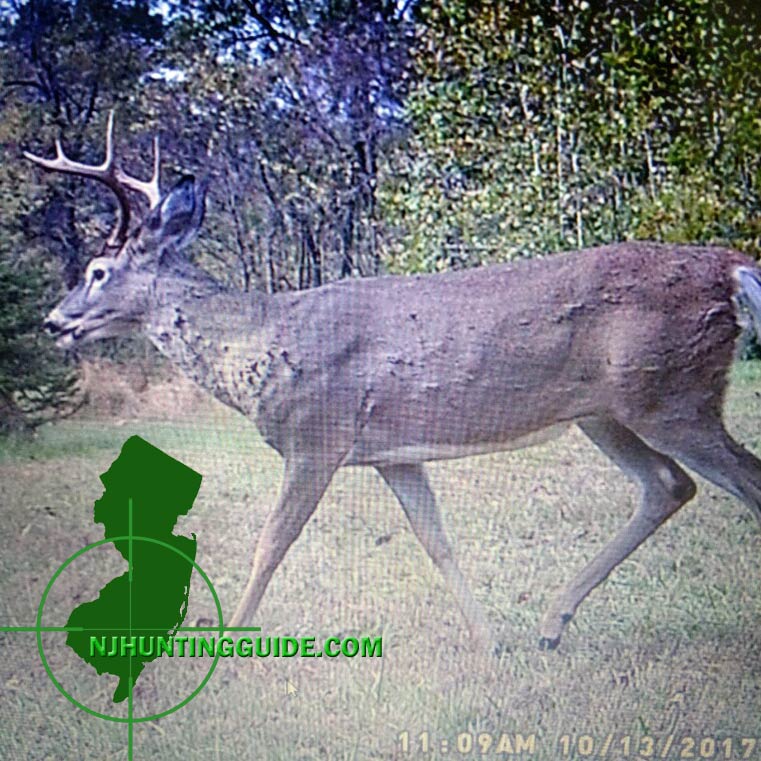 NJ Hunting Guide: Got open spots for next week