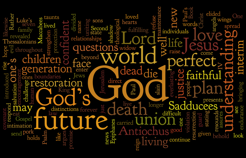 Our Lady of Mount Carmel, Mill Valley: Sunday Gospel Reflection ...