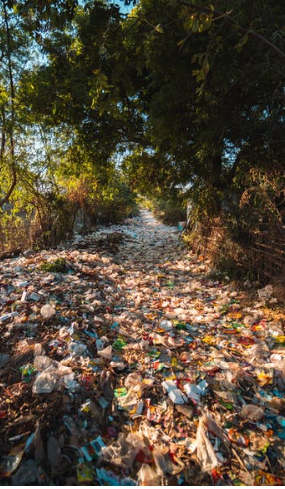 DISPOSAL OF GARBAGE IN RURAL AREAS