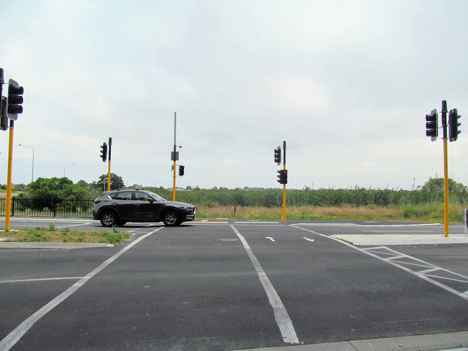 Tramping in the New Zealand backcountry: NZ Bush Adventures ...