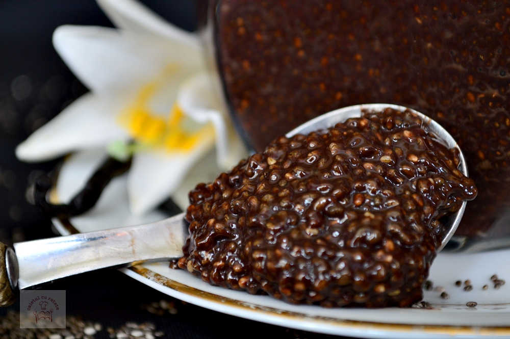 Budinca de ciocolata cu seminte de chia - CAIETUL CU RETETE