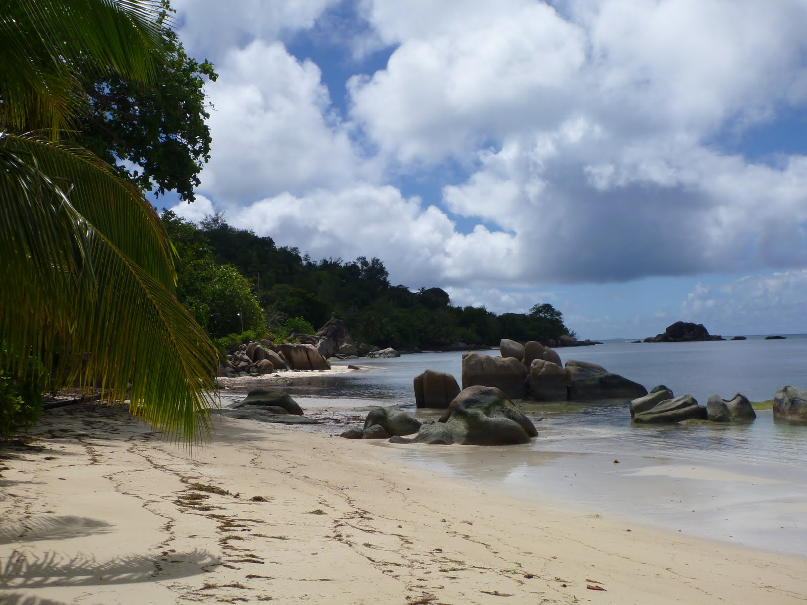 Jour 11 [Praslin] : De Grand'Anse à Anse Volbert - Plongée et farniente ...