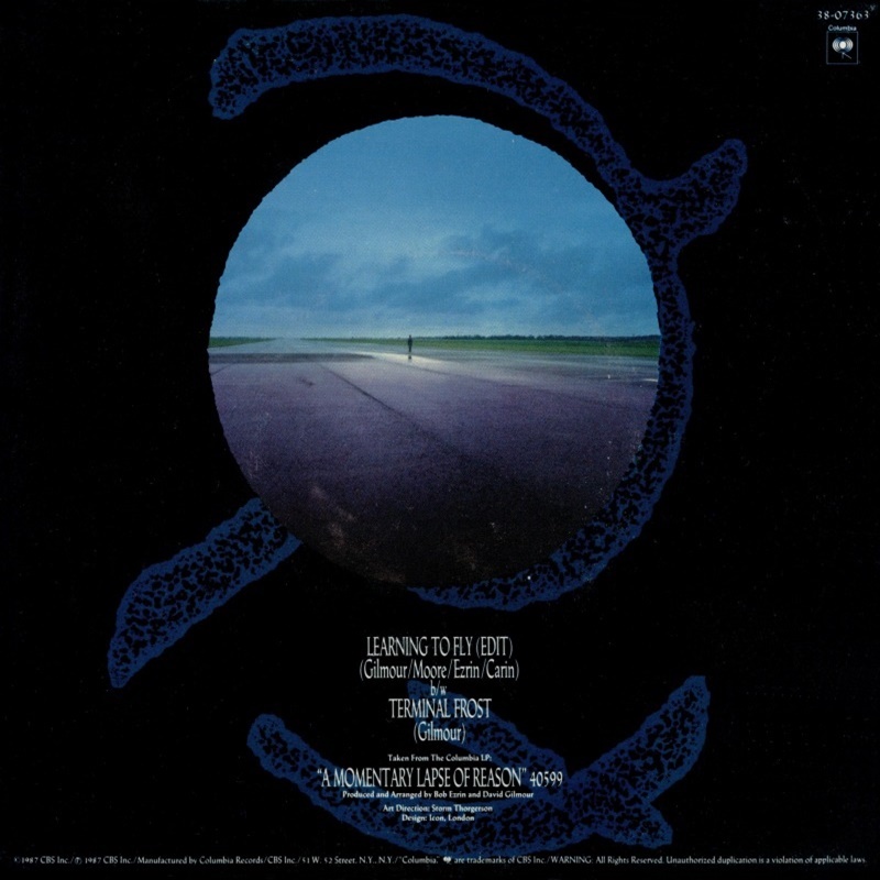 Pink Floyd Ilustrado: Learning To Fly - Vinyl Single 7" U.S.A