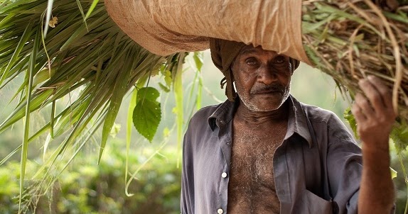 UDAPPU – a Hindu village in the south in peace with the Sinhalese | Sri ...