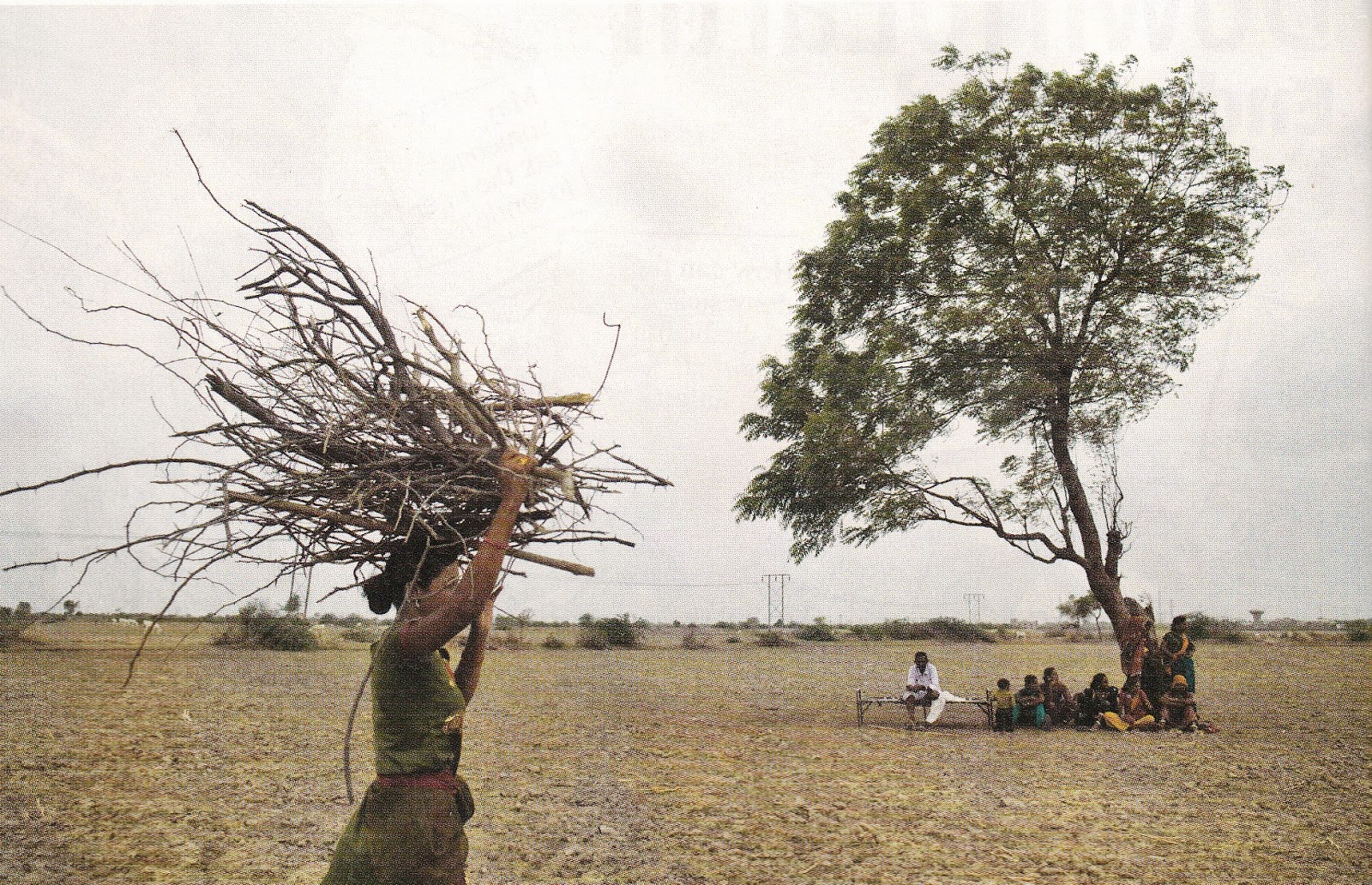 bagchiblog: A photo-blog :: Rural India