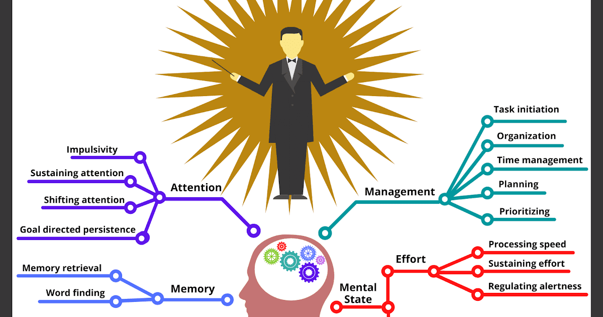 What Does Executive Functioning Disorder Look Like what-does-executive-functioning-disorder-look-like