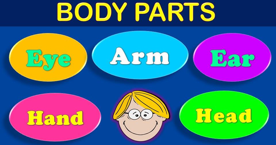 Body Parts ~ PDM CHILD STUDY