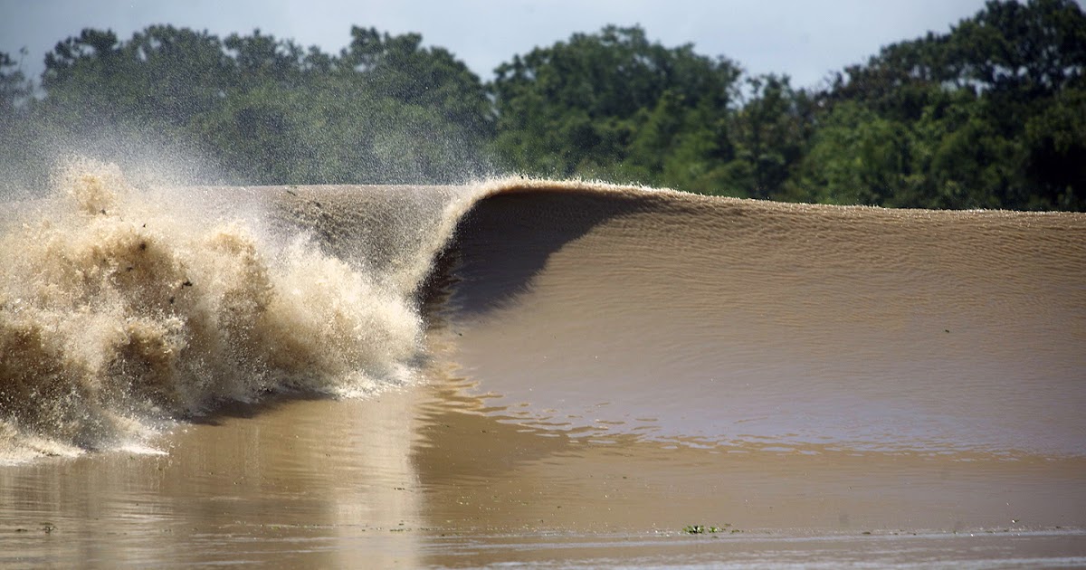 Surfando na pororoca