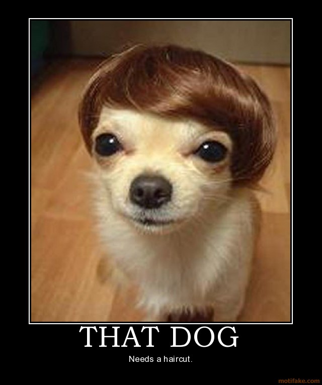 The Teach Zone Fun Interesting Dog Facts Funny Picture Collection the-teach-zone-fun-interesting-dog-facts-funny-picture-collection