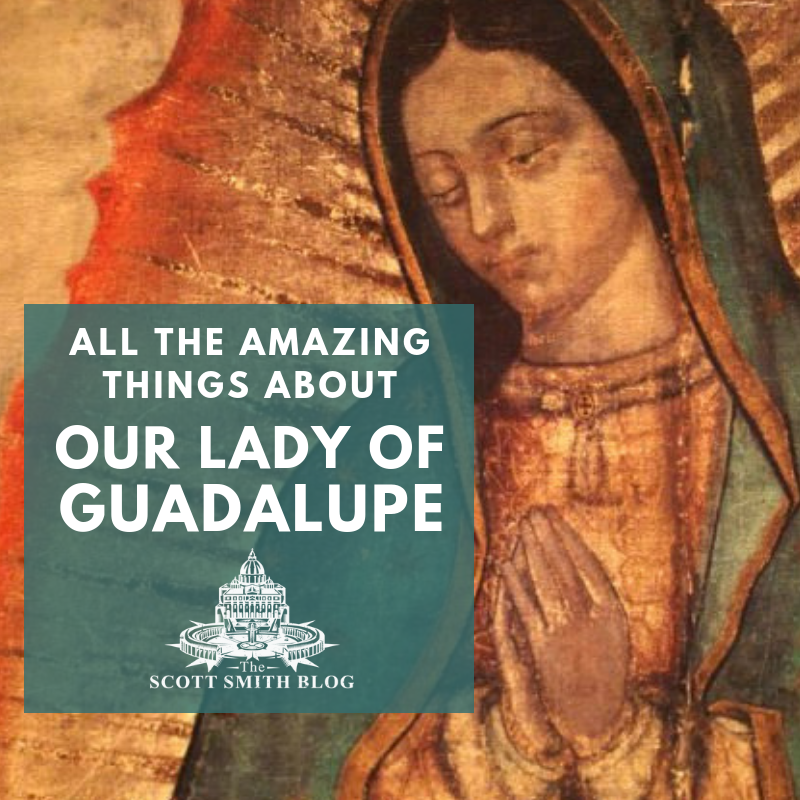 All The Amazing Things About Our Lady Of Guadalupe The Essential Guide all-the-amazing-things-about-our-lady-of-guadalupe-the-essential-guide