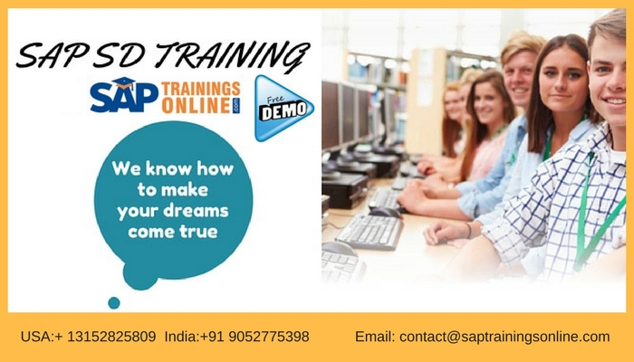 SAP SD Online Training: Online SAP SD Training | Advantages Of SAP SD ...
