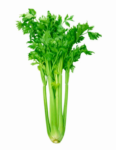 Benefits of Celery | Herbal Medicine and Nutrition