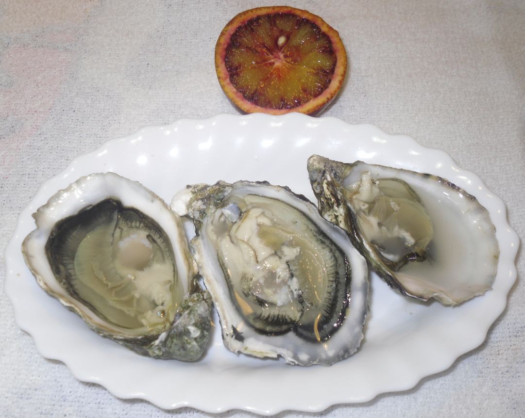 LA COCINA PLURAL: ¡ OSTRAS ! "PEDRÍN" EN ESCABECHE EXTRA SUAVE