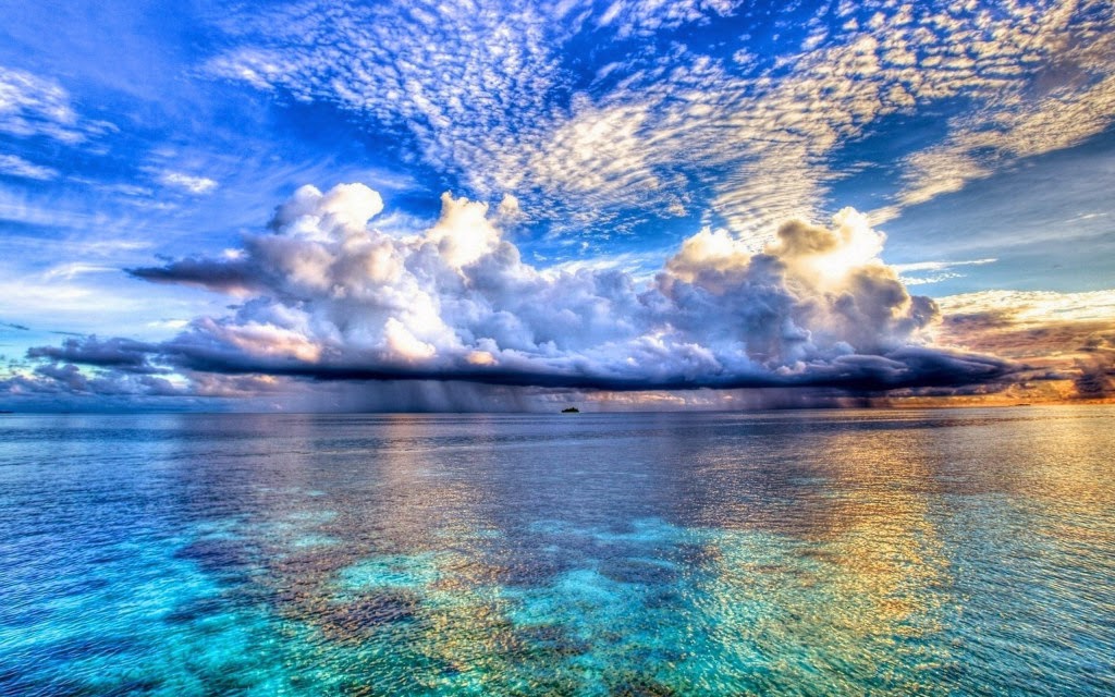 Welcome to: Beautiful Seas