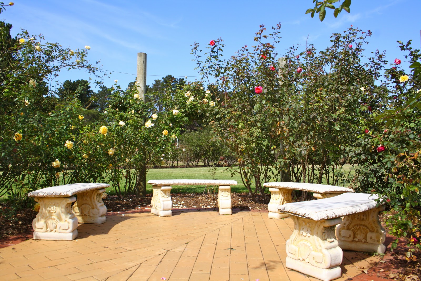 RDO Melbourne: Victoria State Rose Garden, Werribee