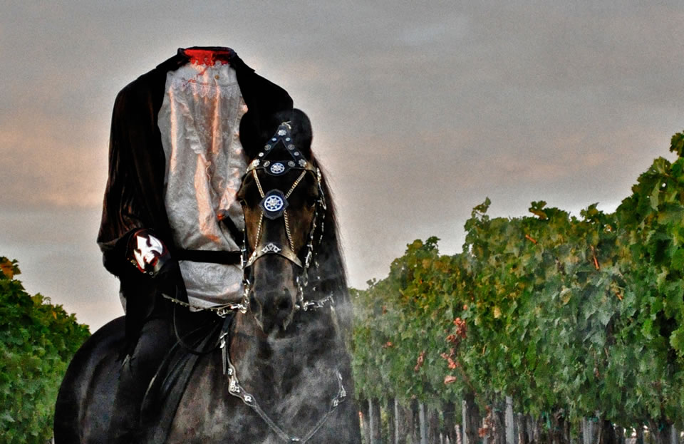 Wild Walla Walla Wine Woman™: Don't Lose Your Head. Buy Ash Hollow ...