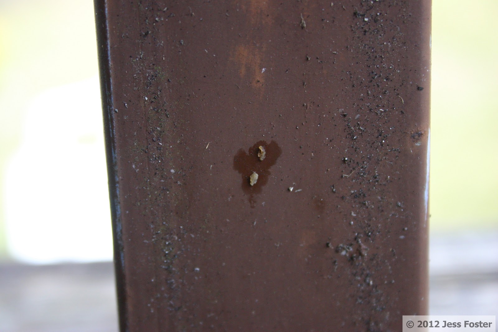 Sluggin' Along: Slug Waste Disposal: Part 2