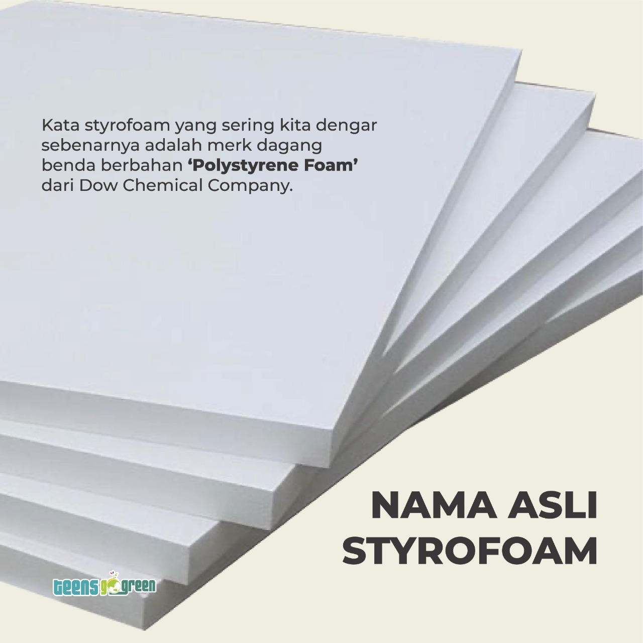 Styrofoam? No, Thanks! - Teens Go Green Indonesia