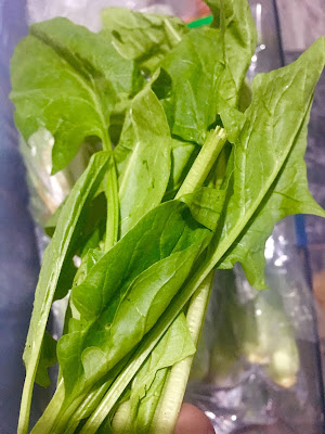 Tofu Dishes: Stir-fried Tofu with Polunchay