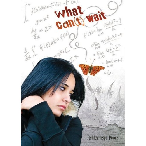 De Colores: The Raza Experience in Books for Children: Good Long Way ...