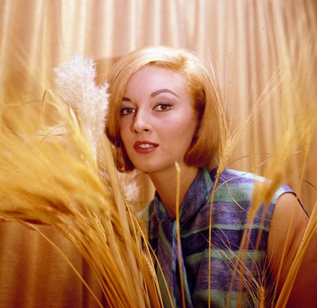 Italian Classic Beauty: 22 Glamorous Photos of Daniela Bianchi in the ...